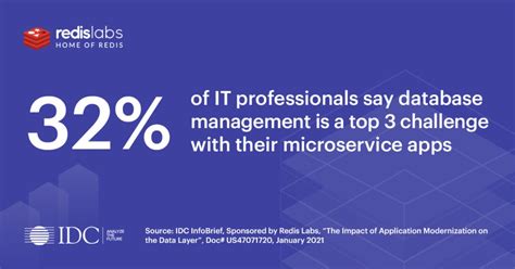 Idc Infobrief The Impact Of Application Modernization On The Data