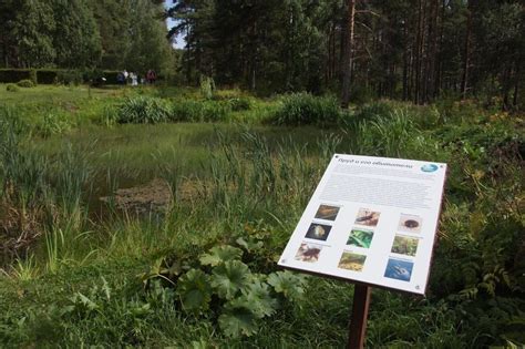 В Ботаническом саду ПетрГУ появились новые информационные планшеты ...