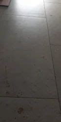 Wholesaler Distributor Of Ceramic Tiles And Floor Tiles By Ositon