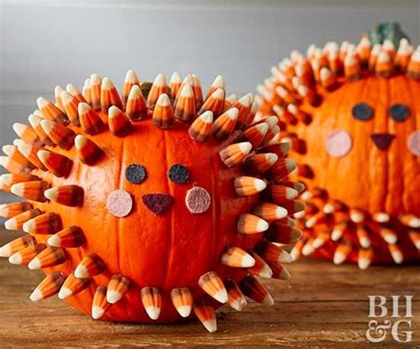 Make An Insanely Cute Hedgehog Pumpkin From A Bag Of Candy Corn Easy