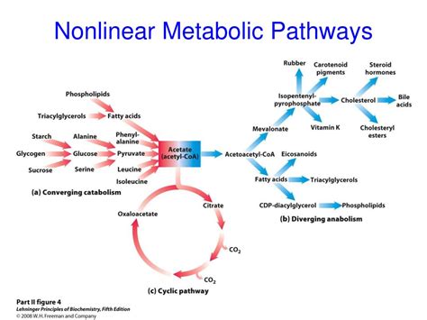 Ppt Biochemistry Ii Chem 473 Powerpoint Presentation Free Download