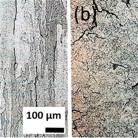 A Microstructure Of The Sample In Longitudinal Section After Slm T1 Download Scientific
