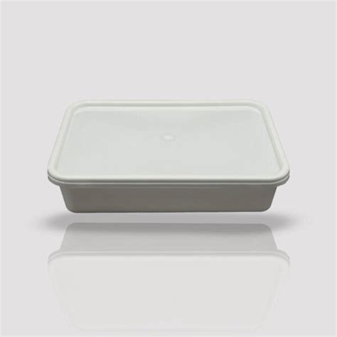500ml Rectangle Plastic Container Millennium World
