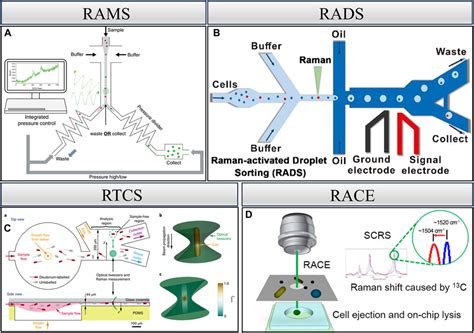 Frontiers Raman Cell Sorting For Single Cell Research