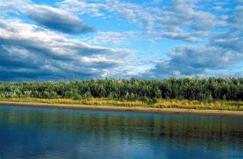 Free Picture River Summer Scenic