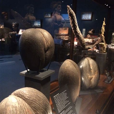 Sex And The Sea Museum Exhibit Review Kristina R Gaddy