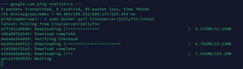 Bug Installation Process Stuck · Issue 767 · Icewhaletechcasaos