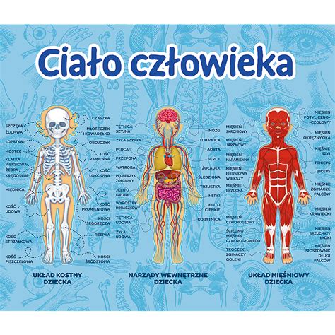 Ciało Człowieka