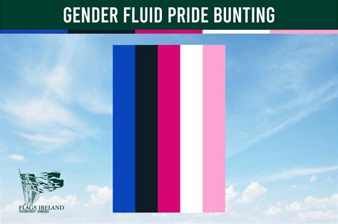 Gender Fluid Pride Flag Bunting High Quality Lgbtq Decoration