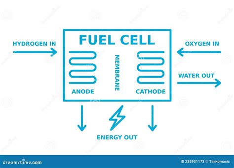 Anode And Cathode Scientific Physics Education Diagram Vector Illustration Labeled Scheme