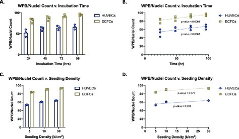 Effect Of Incubation Time And Seeding Density On Wpbnuclei Count For