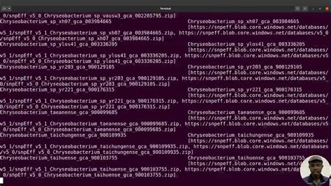 Download Databases In Snpeff For Variant Effect Prediction Youtube