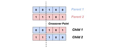 Introduction To Genetic Algorithms Towards Data Science