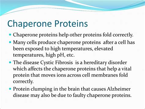 PPT - Exploring Proteins: Diverse Structures & Functions PowerPoint Presentation - ID:9519636