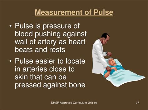 How To Take A Pulse Care Guide