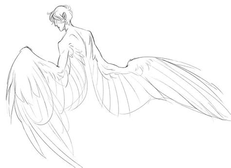 Body Base With Wings At Patrick Lakes Blog