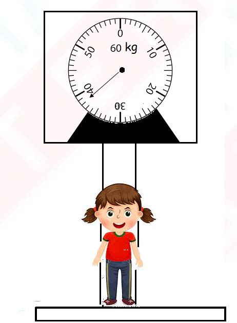 class 2 imo mock test olympiad tester