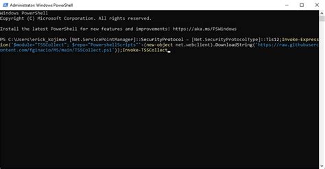Gather Logs Via Troubleshooting Script Tss In Windows Powershell