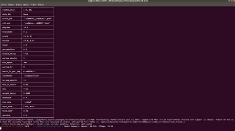 运行tools train py后停在这个界面不动了， 使用的是自己的数据集转成的coco格式 · issue 343 · megvii