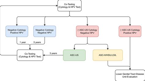 Cervical Cancer Screening Algorithm Via Co Testing The Molecular Test Download Scientific