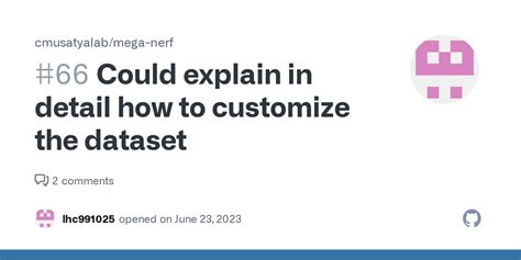 could explain in detail how to customize the dataset · issue 66