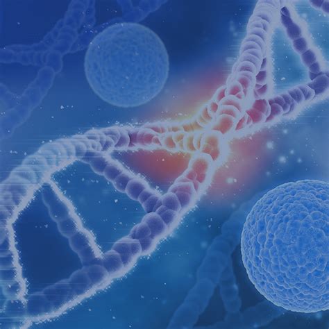 Isotype Control Antibody