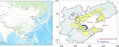 Ordo Fraterna Fibonacci On Linkedin Frontiers Long Term