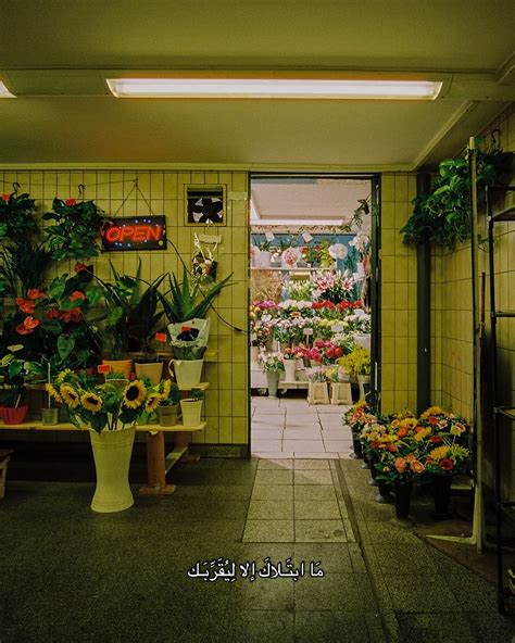 ‎عَباس‎ ‎العبارات بقناة التلي الرابط بالبايو♥️ عبارات قصيره