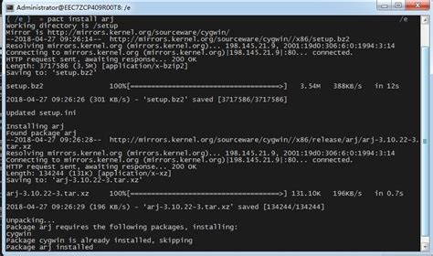 mintty cygwin terminal emulator