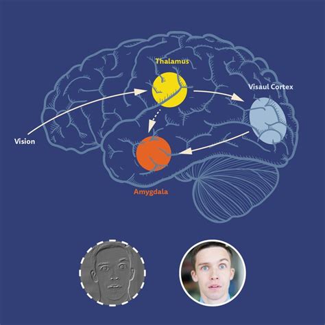 Factors Affecting Memory