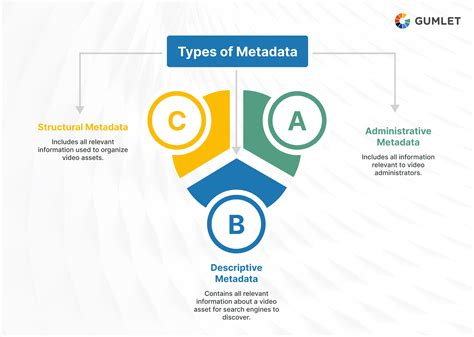 Everything You Need To Know About Video Metadata