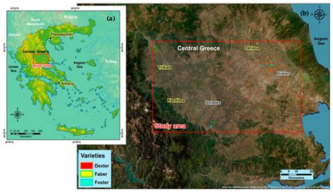 Sensors Free Full Text Can Satellites Predict Yield Ensemble Machine Learning And