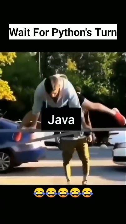 Wait For Pythons Turn 😂 Coding Meme Programming Meme Python Memes Vastcoding Youtube