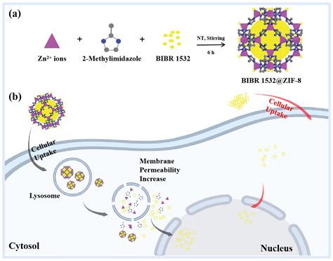 Zeolitic Imidazolate Framework 8 Zif 8 As A Drug Delivery Vehicle For The Transport And