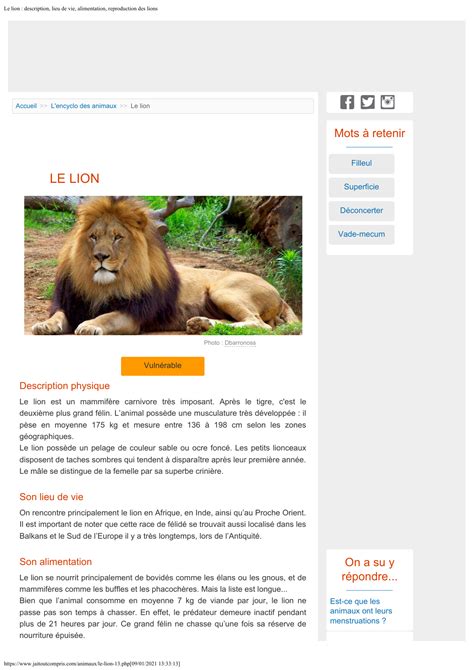 Le Lion Description Lieu De Vie Alimentation Reproduction Des Lions