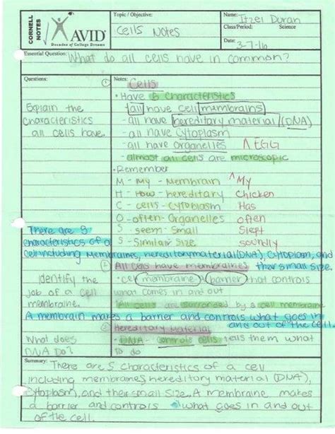 Cornell Notes Avid