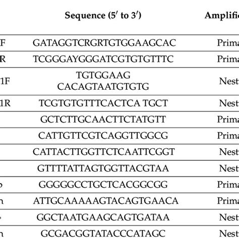 Nucleotide Sequences Of Primers Used In Nested Pcr Download Scientific Diagram