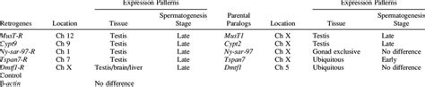 spatial and temporal expression patterns download table