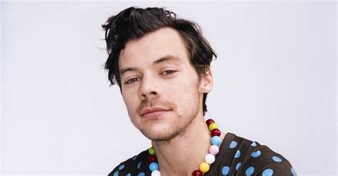 21세기 팝 아이콘 해리 스타일스 내년 3월 첫 내한공연 확정[공식]