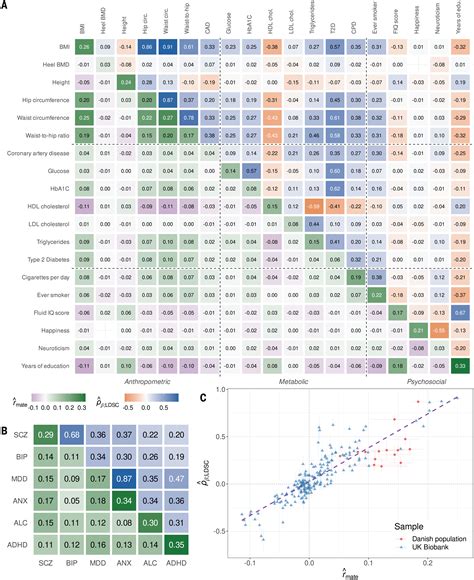 Cross Trait Assortative Mating Is Widespread And Inflates Genetic Correlation Estimates Science