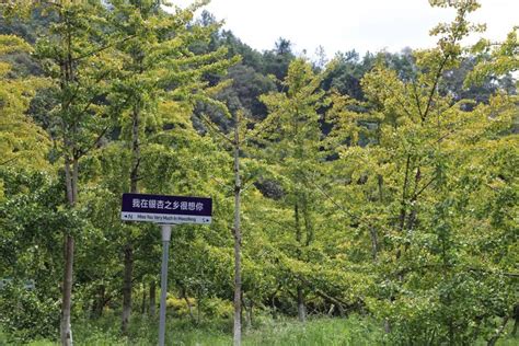 南雄这个旅游景点，中秋节穿汉服可免票入园赏美景！帽子月饼地方