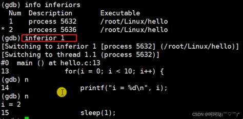 基于linux下的高并发服务器开发（第二章） 25 父子进程关系及gdb多进程调试linux父子进程网络服务代码 Csdn博客