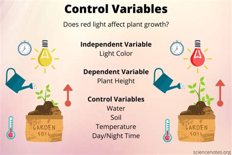 Control Variable Examples In Research Experiments
