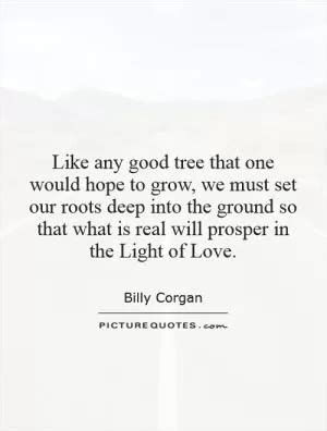 Tree Quotes Tree Sayings Tree Picture Quotes Page