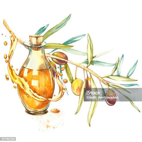 익은 녹색 올리브의 분기는 달콤한 기름 부 어 방울 그리고 올리브 기름 많아요입니다 수채화 물감 그리고 식물 그림을 흰색 배경에 고립입니다 0명에 대한 스톡 벡터 아트 및