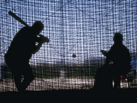 Branch Switch Hitting