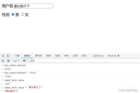 Javascript操作表单 Csdn博客