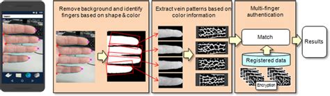 Fingervein Detection Prasang Gupta