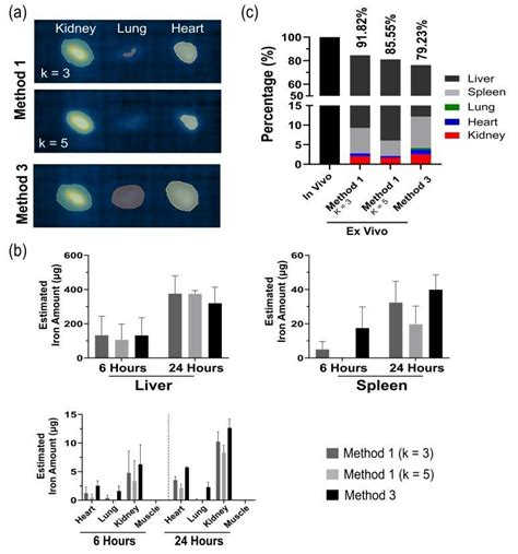 A Representative Mpi Images And Generated Roi Using Method 1 With K Download Scientific
