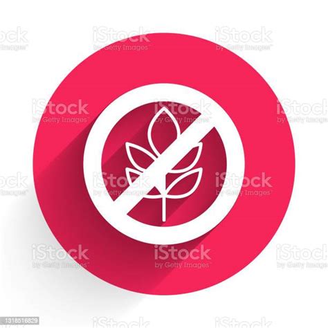 화이트 글루텐 프리 곡물 아이콘 고립 화이트 배경 밀 표지판이 없습니다 식품 편협 기호 빨간색 원 버튼입니다 벡터 개념에 대한 스톡 벡터 아트 및 기타 이미지 Istock